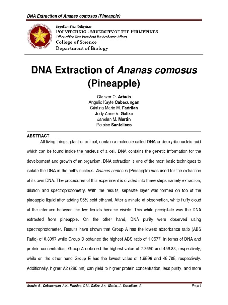 DNA Extraction of Ananas Comosus (Pineapple) : P U P College of Science ...