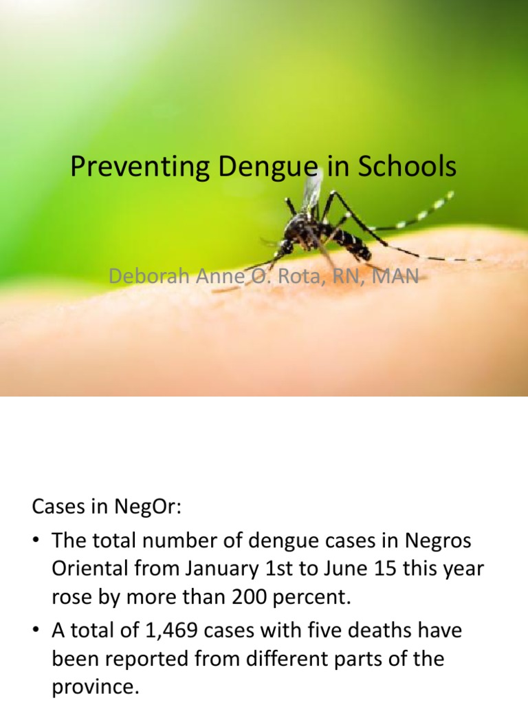 Dengue Prevention Strategies for Schools | PDF | Virology | Diseases ...
