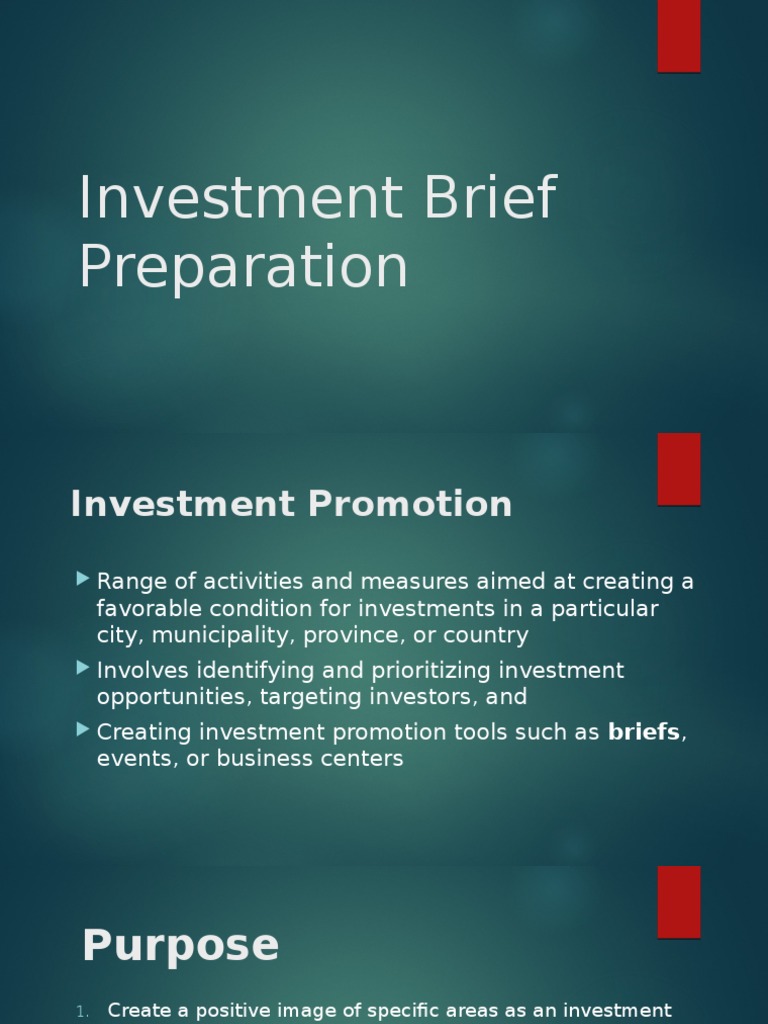 Preparing Investment Brief | PDF | Economies | Business