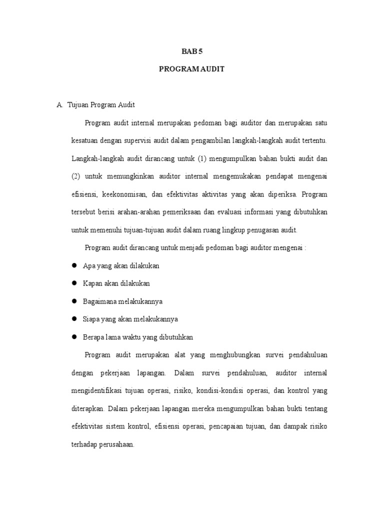Program Audit | PDF | Bisnis