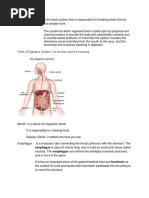 Anatomy and Physiology of Acute Gastroenteritis | PDF | Stomach ...