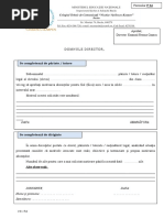 Model Scutire de Mana | PDF