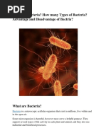 IGCSE Biology Revision - Bacteria | PDF | Bacteria | Cell (Biology)