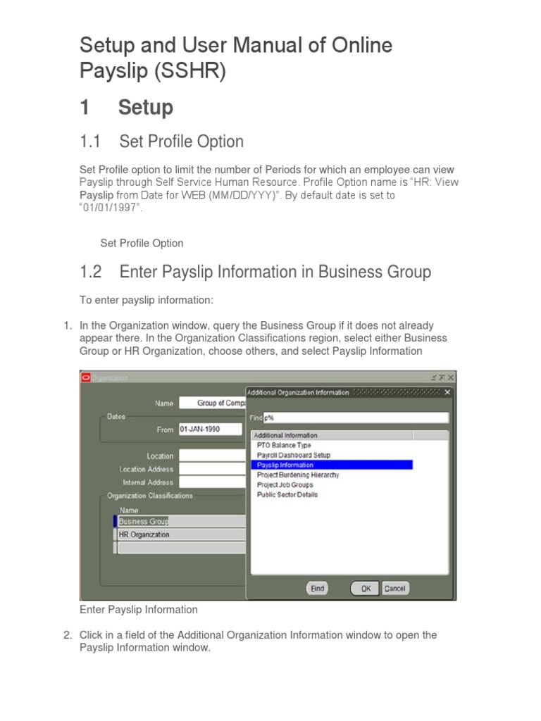 Online Payslip Setup Guide | PDF | Payroll | Employment