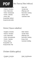 Cow Taxonomic Classification | PDF
