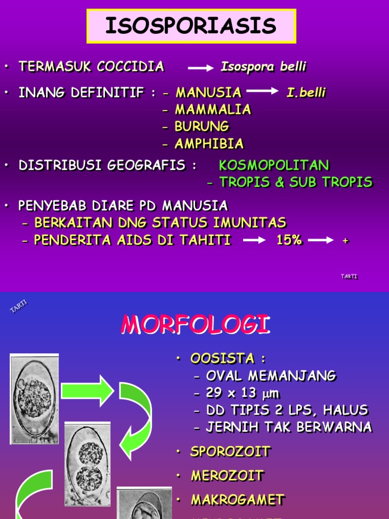 Isosporiasis: Gejala dan Terapi | PDF