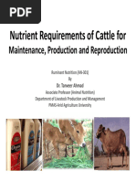 01 Feed Formulation Technique | PDF | Dairy Cattle | Cattle