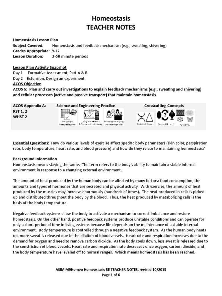 Homeostasis Teacher | PDF | Homeostasis | Perspiration