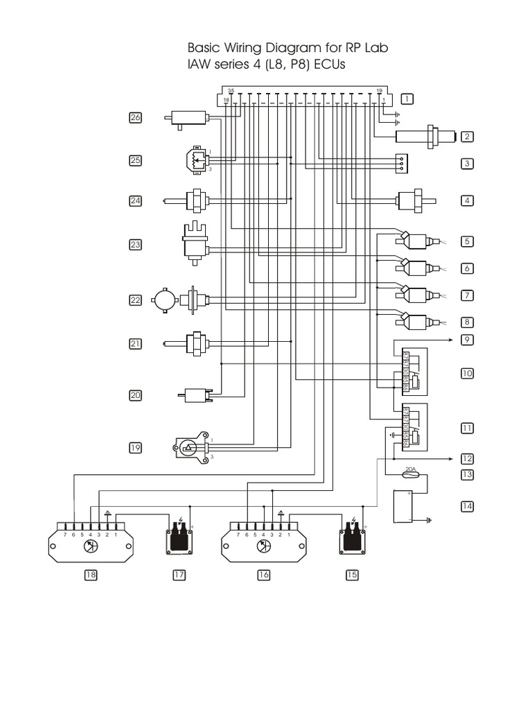 Wiring Diagram L8 P8 Basic PDF | PDF | Ignition System | Fuel Injection