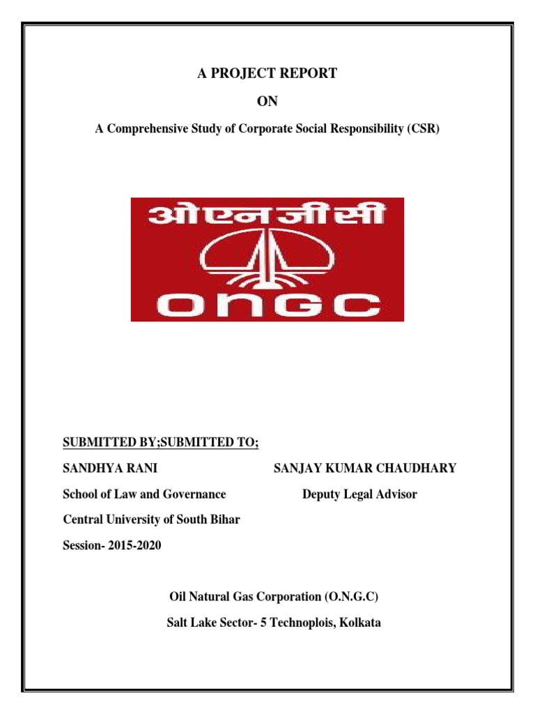 CSR Project | PDF | Corporate Social Responsibility | Business