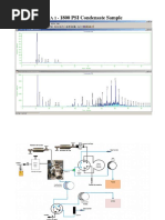 IMPCA Ref Spec 01 July 2021 | PDF | Spectrophotometry | Gas Chromatography