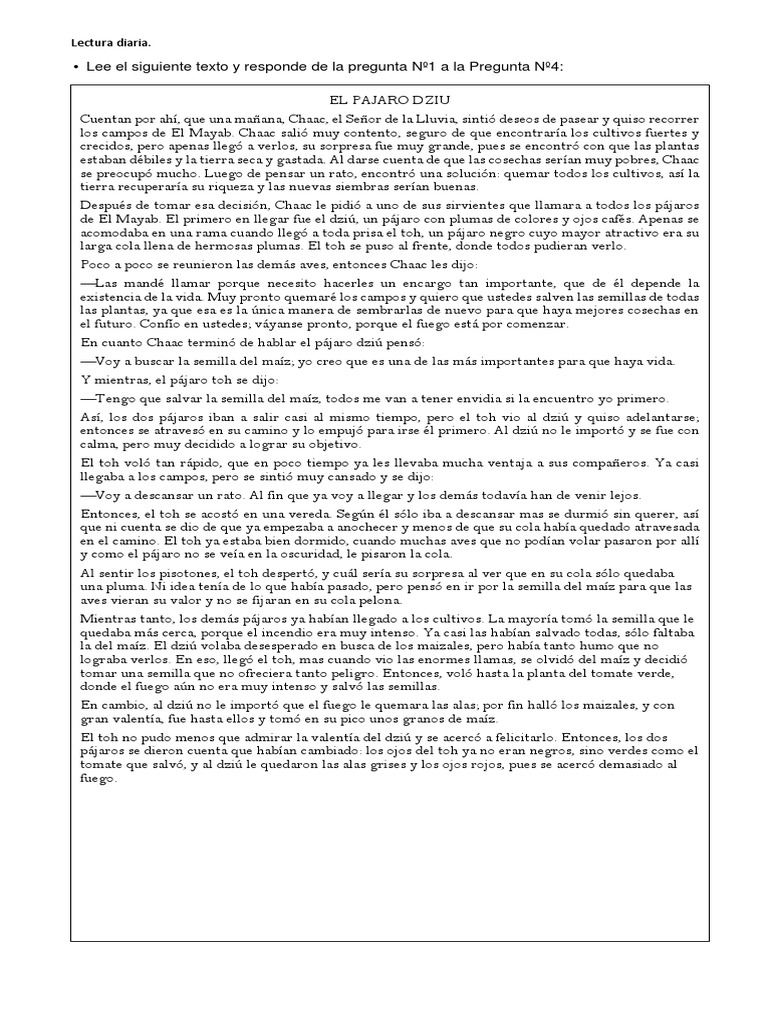 Textos Simce... - 2 | PDF