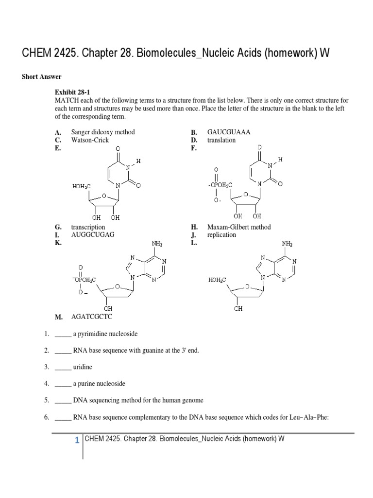 CHEM 2425. Chapter 28. Biomolecules - Nucleic Acids (Homework) W | PDF ...