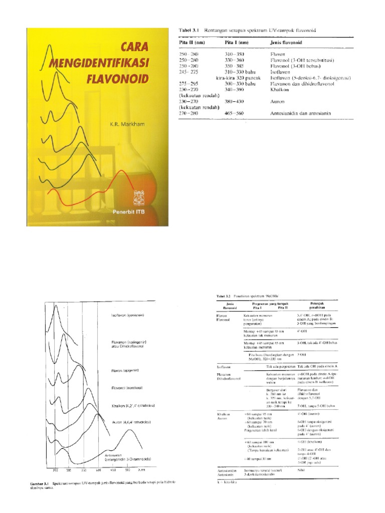 Cara Mengidentifikasi Flavonoid - Markham PDF | PDF