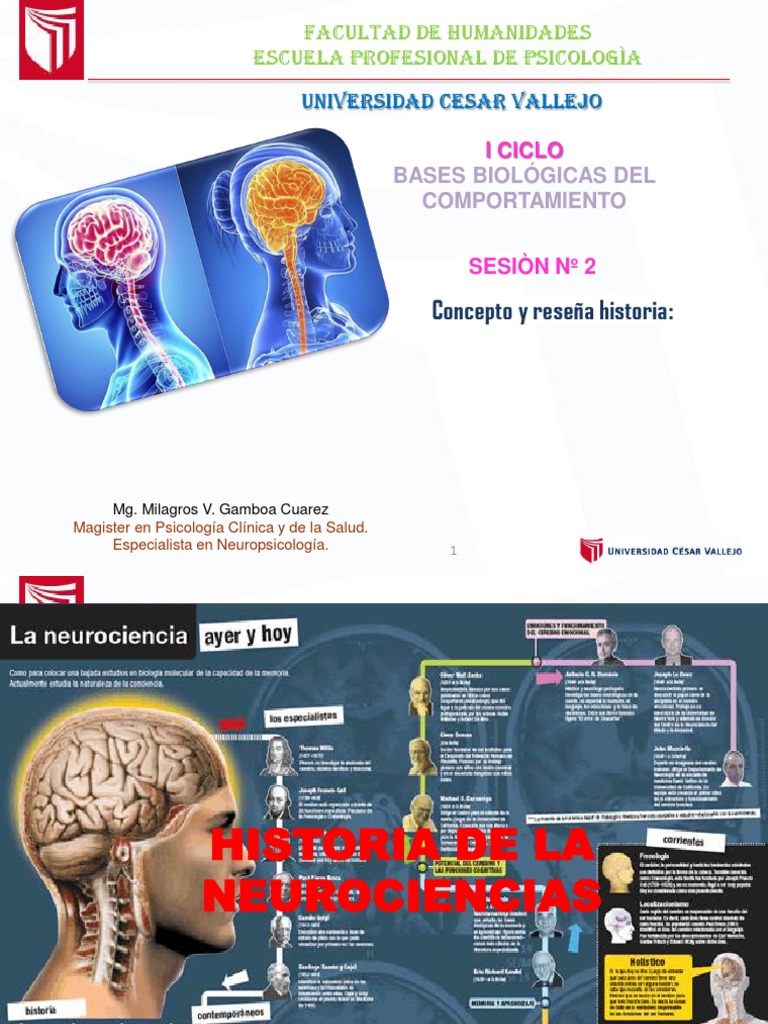 Historia de las Neurociencias | PDF | Cerebro | Neurociencia