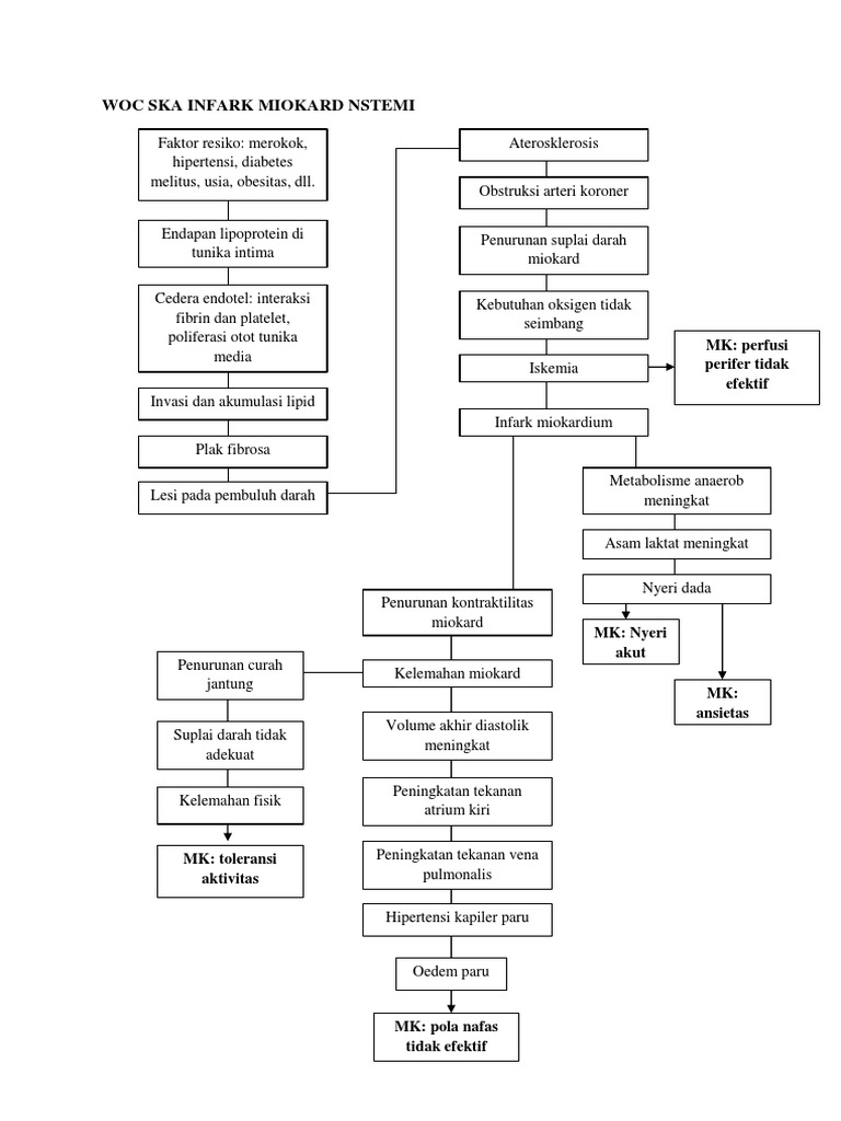 Woc Ska Infark Miokard Nstemi | PDF