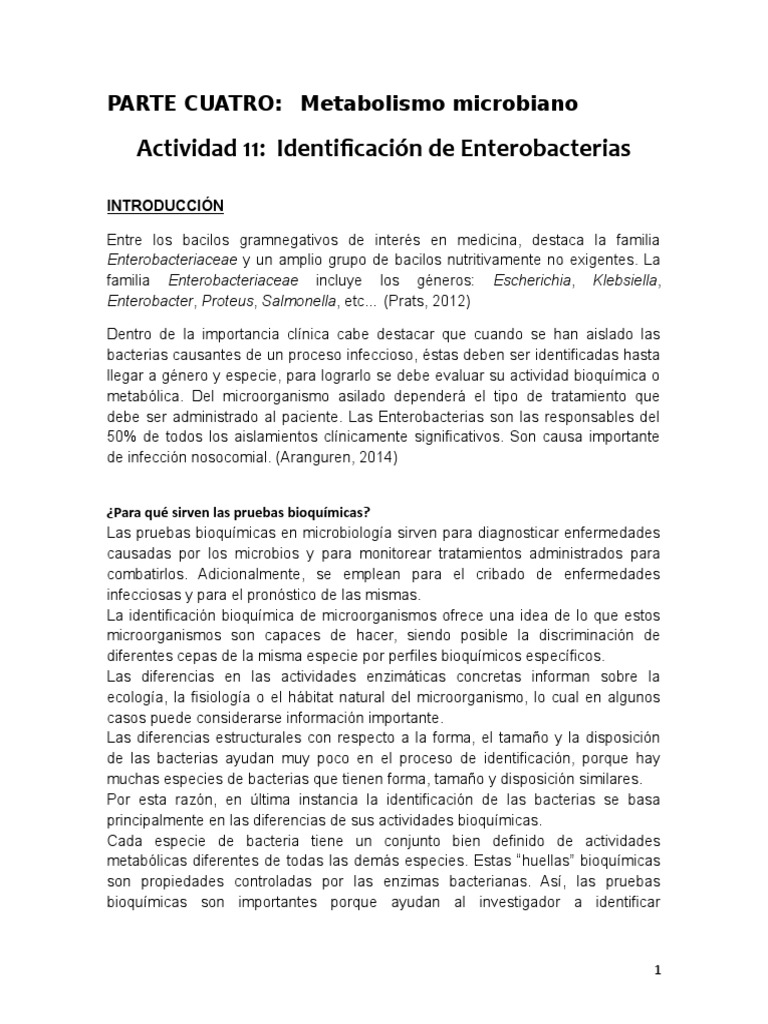 Práctica # 6 Identificación de Enterobacterias | PDF | Las bacterias ...