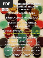 Agente Caotrópico | PDF | Ciencia y matemáticas