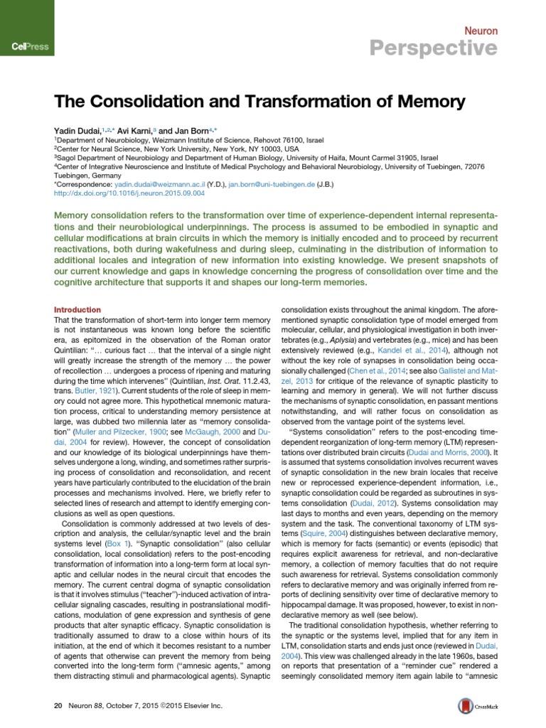 Memory Consolidation and Transformation | PDF | Memory | Hippocampus
