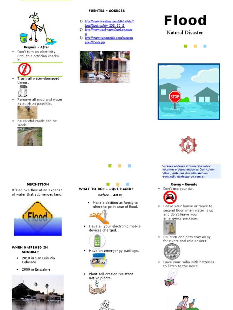 Flood: Natural Disaster | PDF | Water | Nature