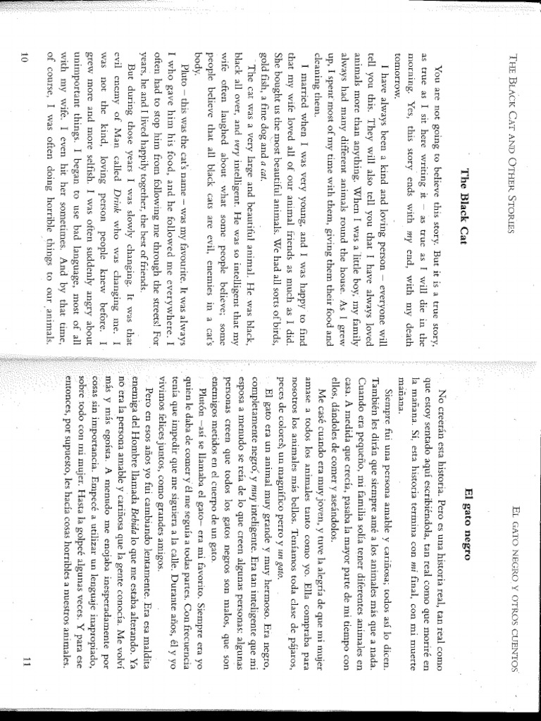 The Black Cat and Other Stories - Poe | PDF