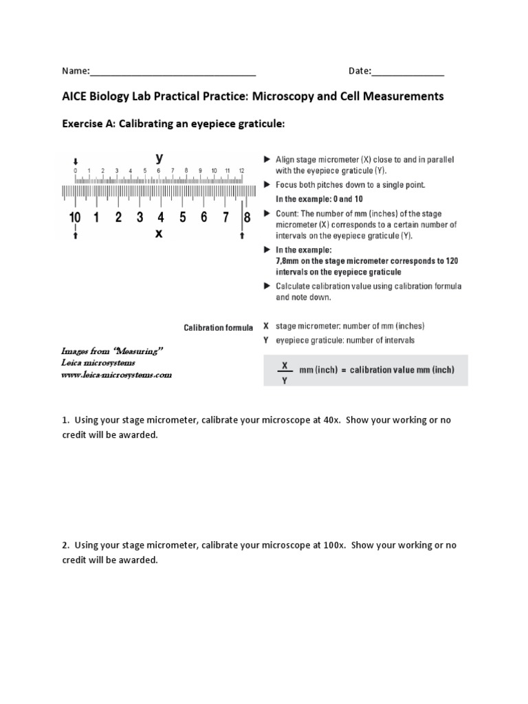 AICE Biology Lab Practical Practice: Microscopy and Cell Measurements | PDF | Microscope | Onion