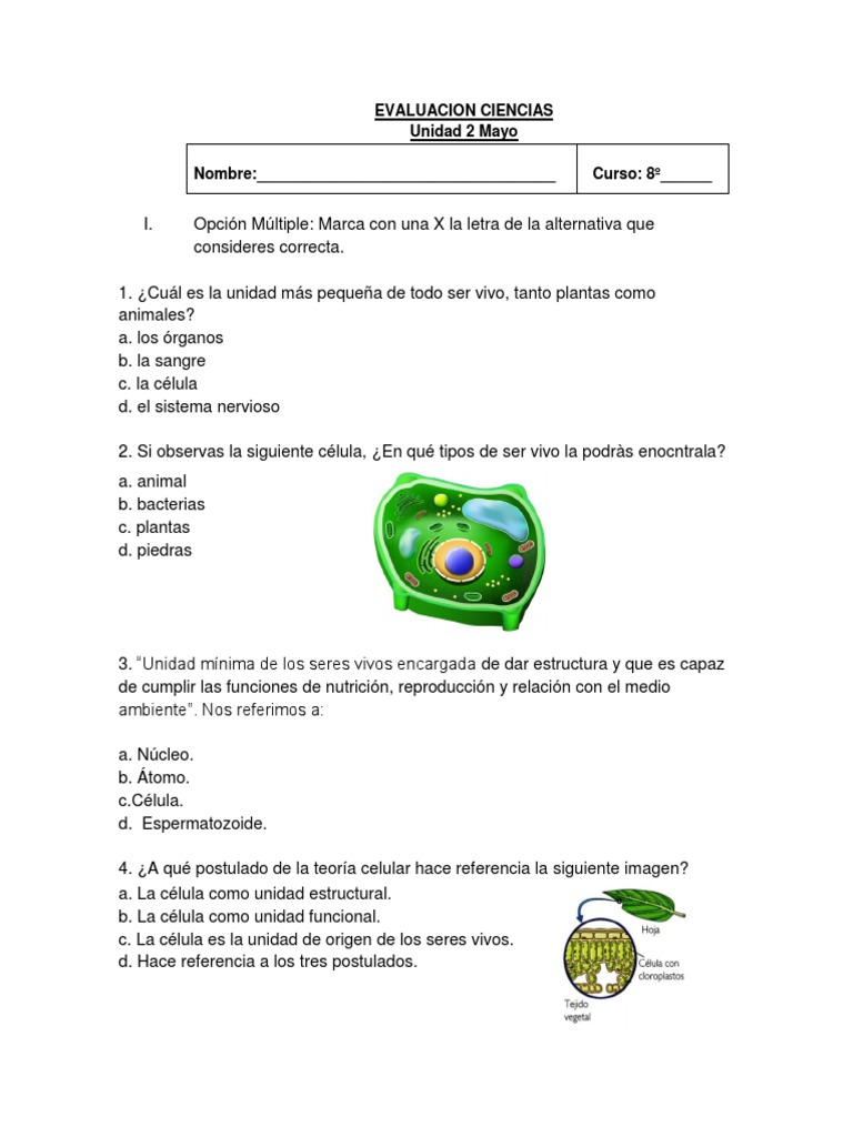 5-. Evaluación la celula | Citoplasma | Biología Celular)