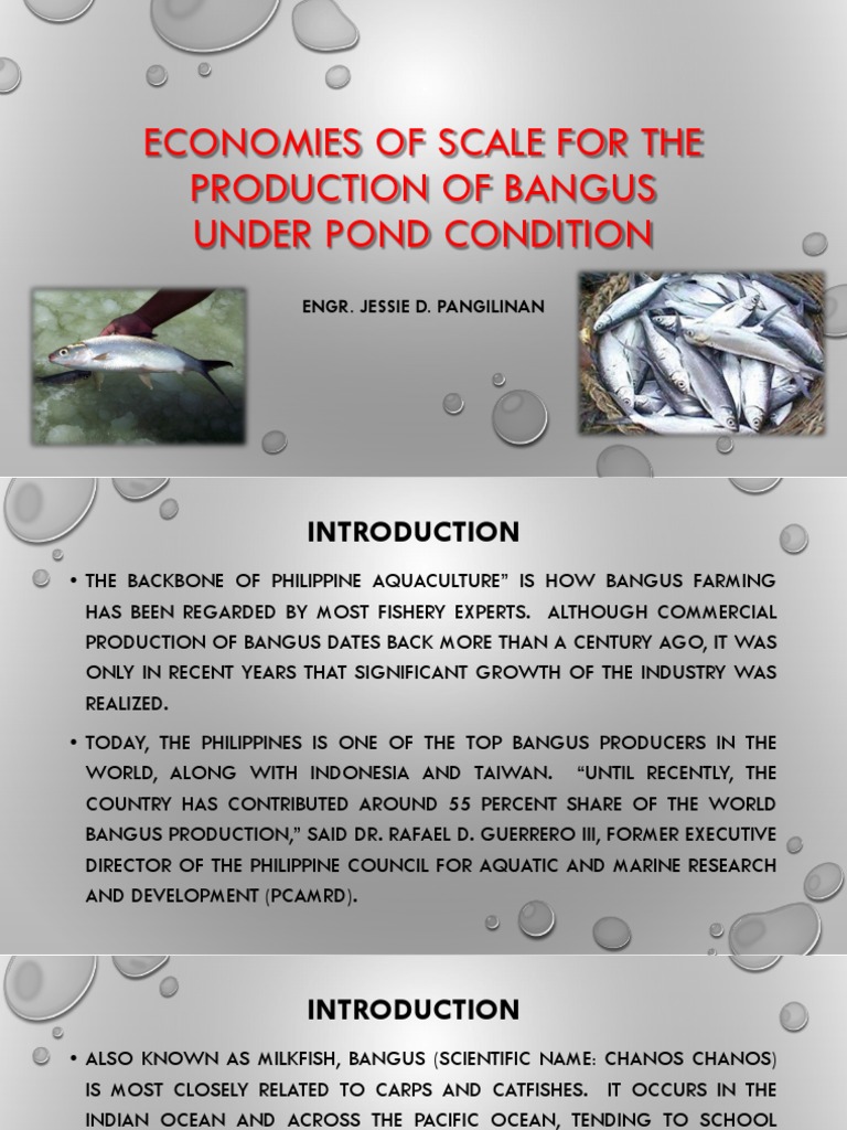 Bangus Production | PDF | Fish | Fish And Humans