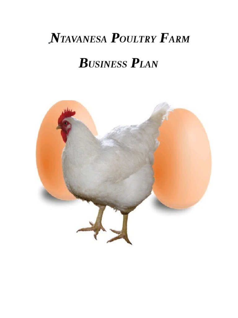 Ntavanesa Poultry Farm Business Plan | PDF | Poultry Farming | Chicken