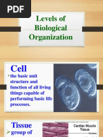Grade 7 Levels of Biological Organization | PDF