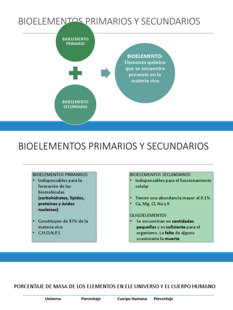 Bioelementos Primarios y Secundarios | PDF | Lípido | Biomoléculas