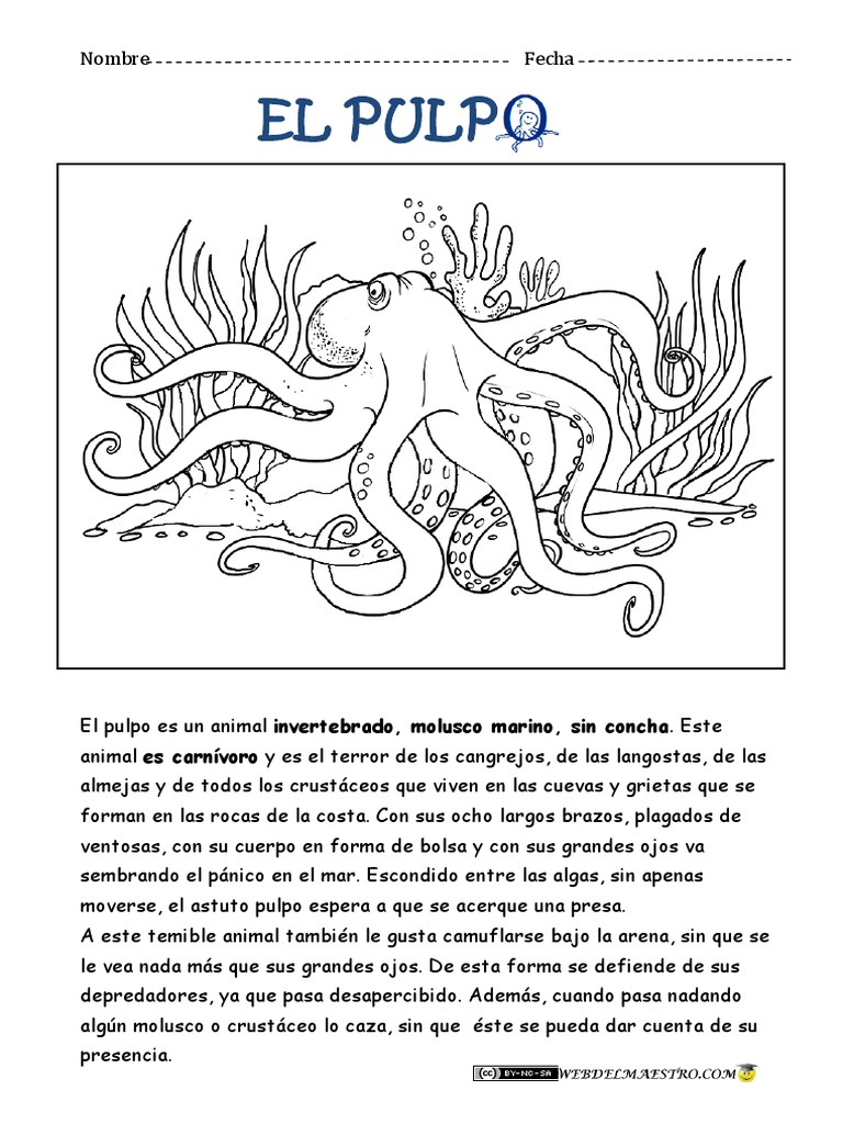Curiosidades del Pulpo para Niños | PDF | Pulpo | Organismos