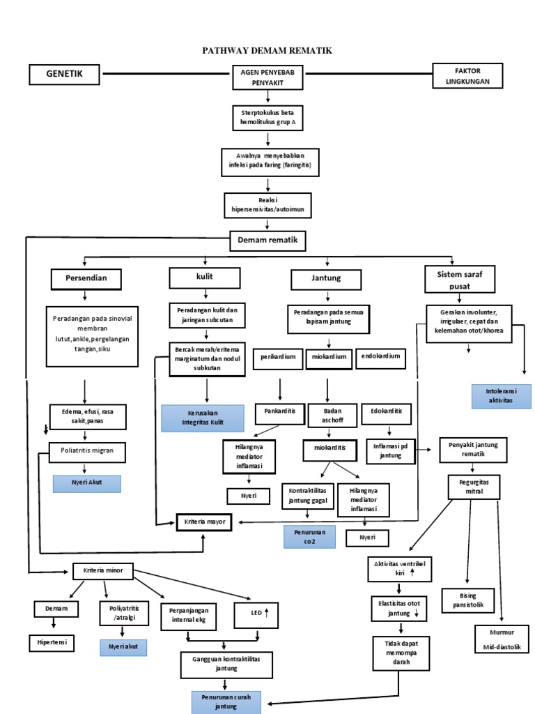 Pathway Demam Rematik-1 | PDF