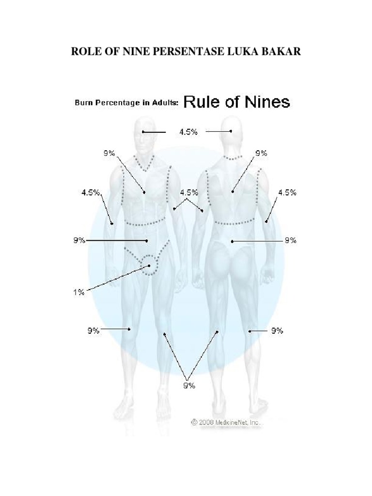 Role of Nine Persentase Luka Bakar | PDF