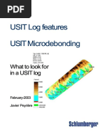 USIT - Ultrasonic Imager Tool Presentation FE | PDF | Casing (Borehole ...