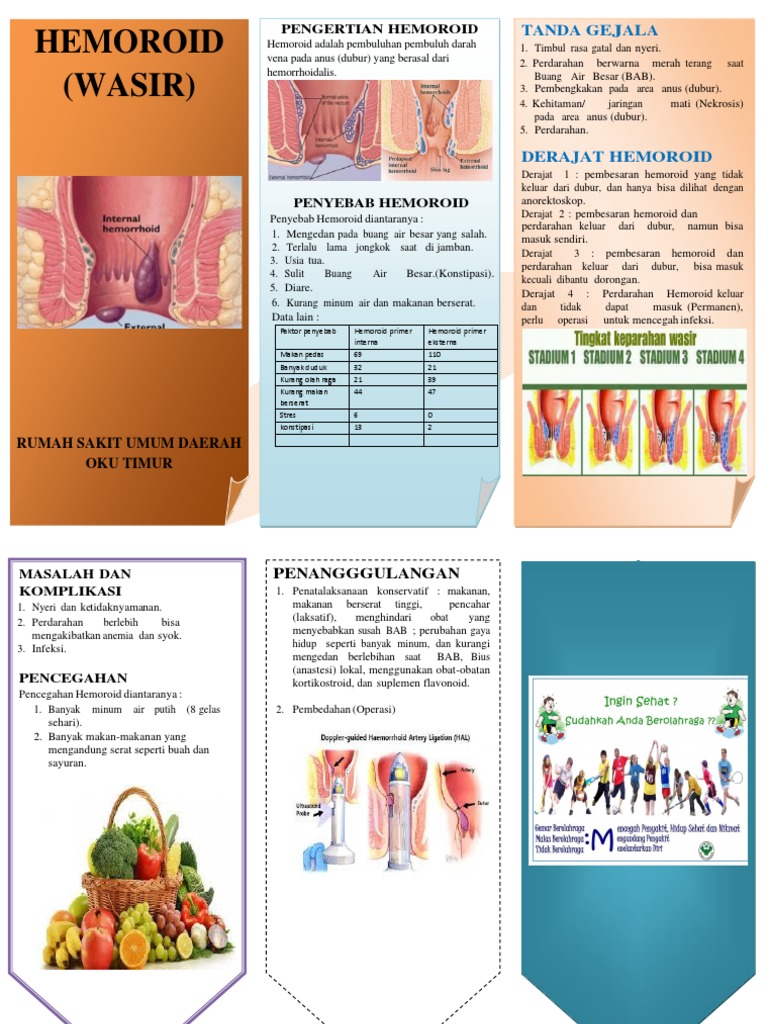 Leaflet Hemoroid | PDF
