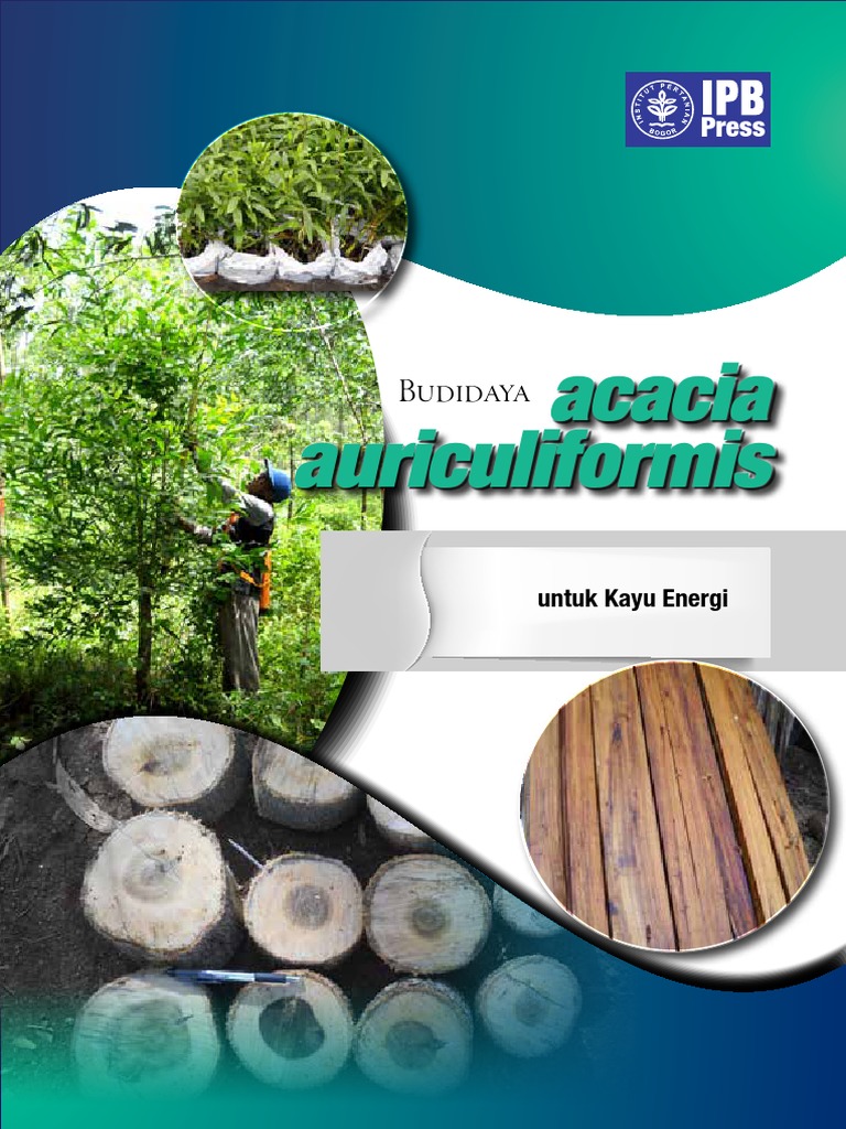 Buku 6 Auri PDF | PDF