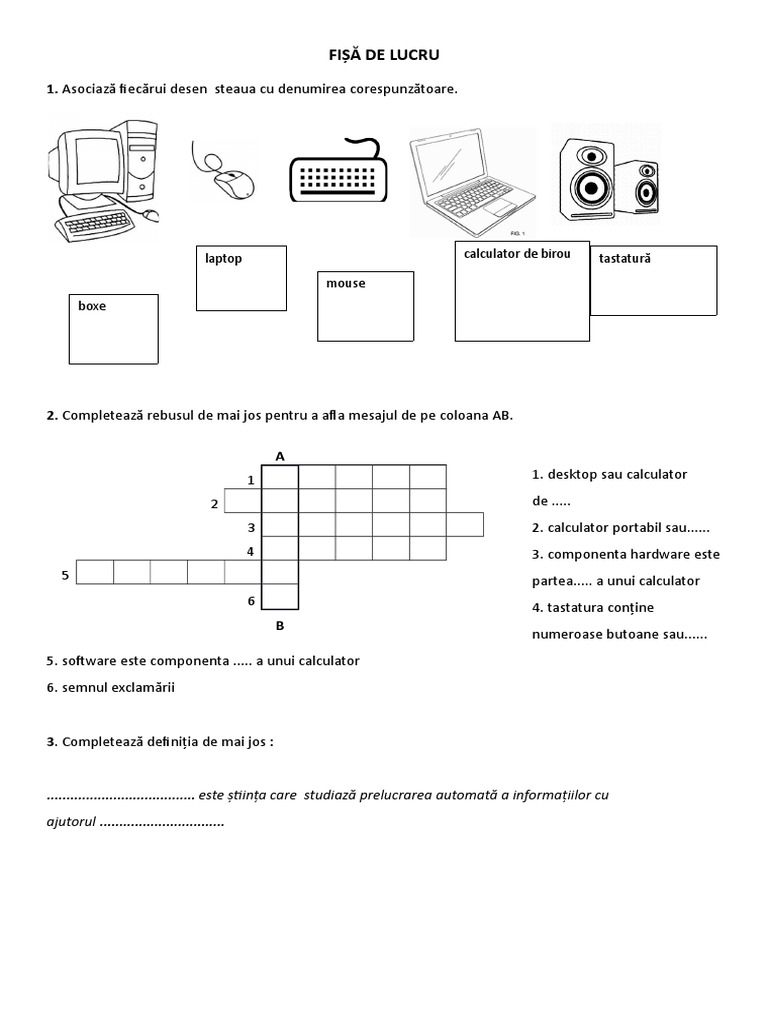 Fisa de Lucru Componentele Calculatorului | PDF