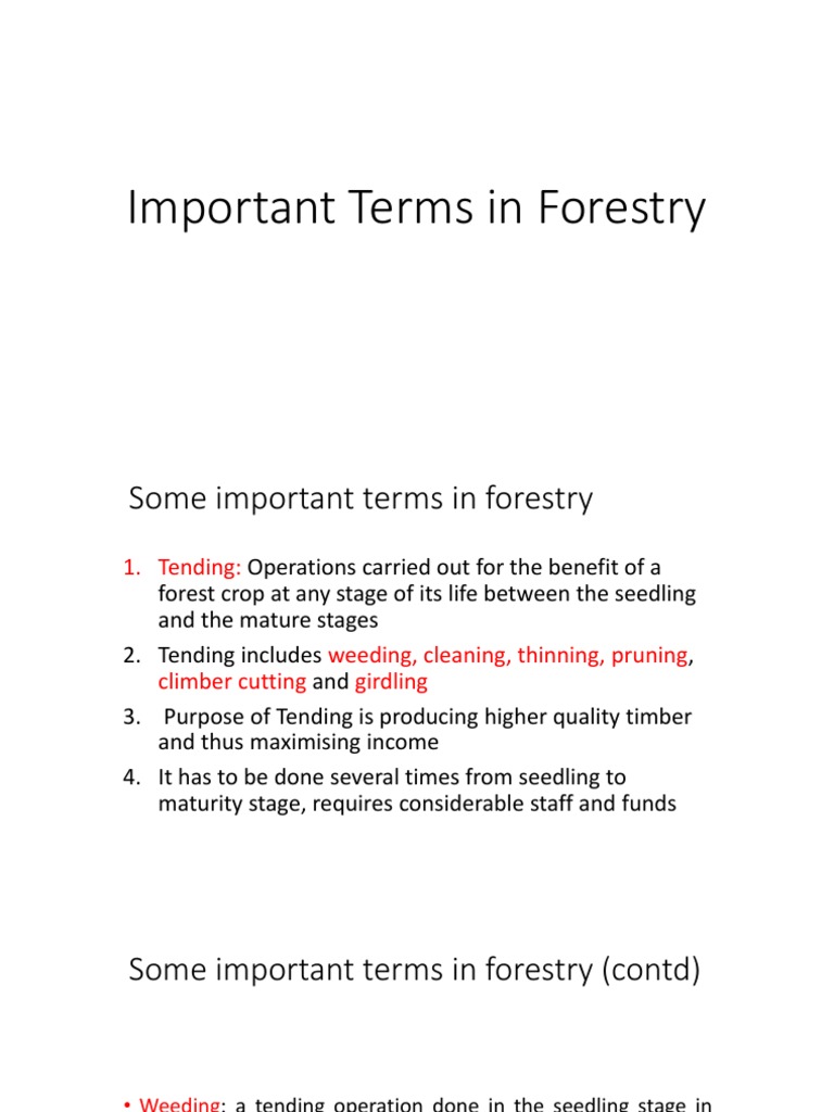 Tending Operations | PDF | Pruning | Forestry