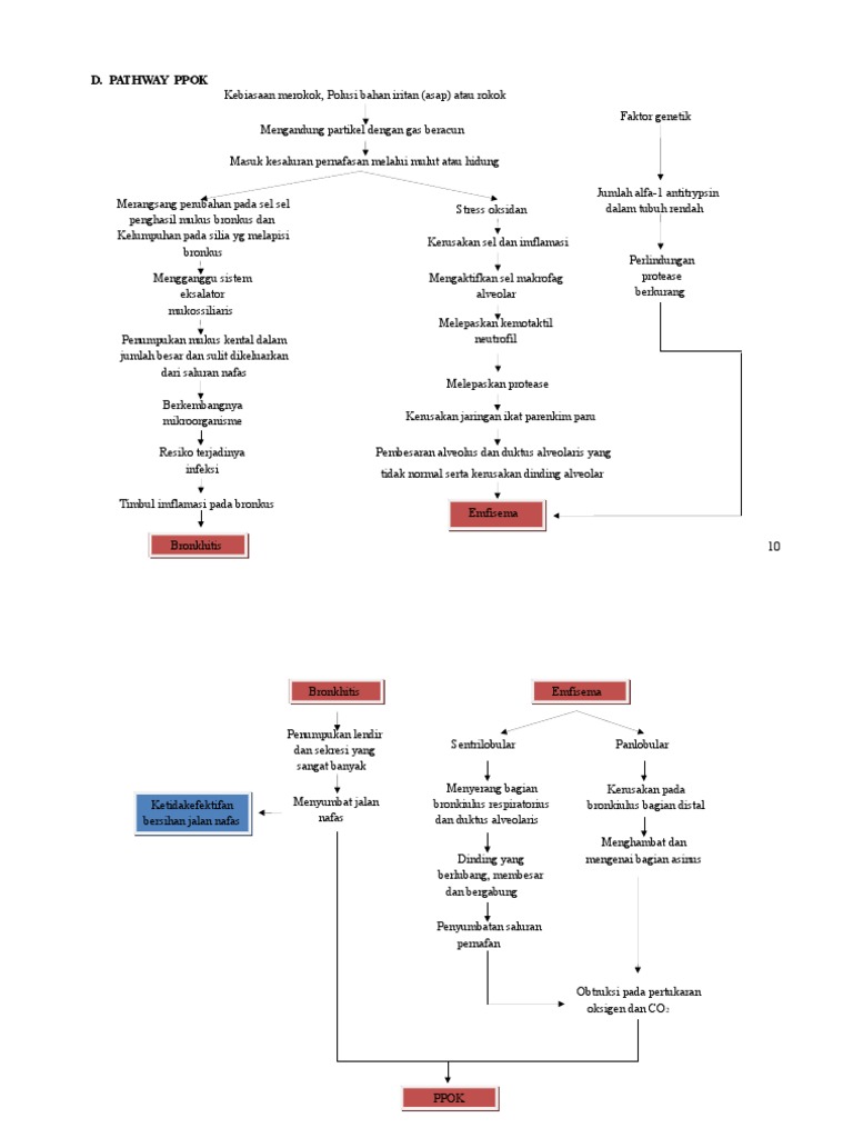 Pathway COPD | PDF