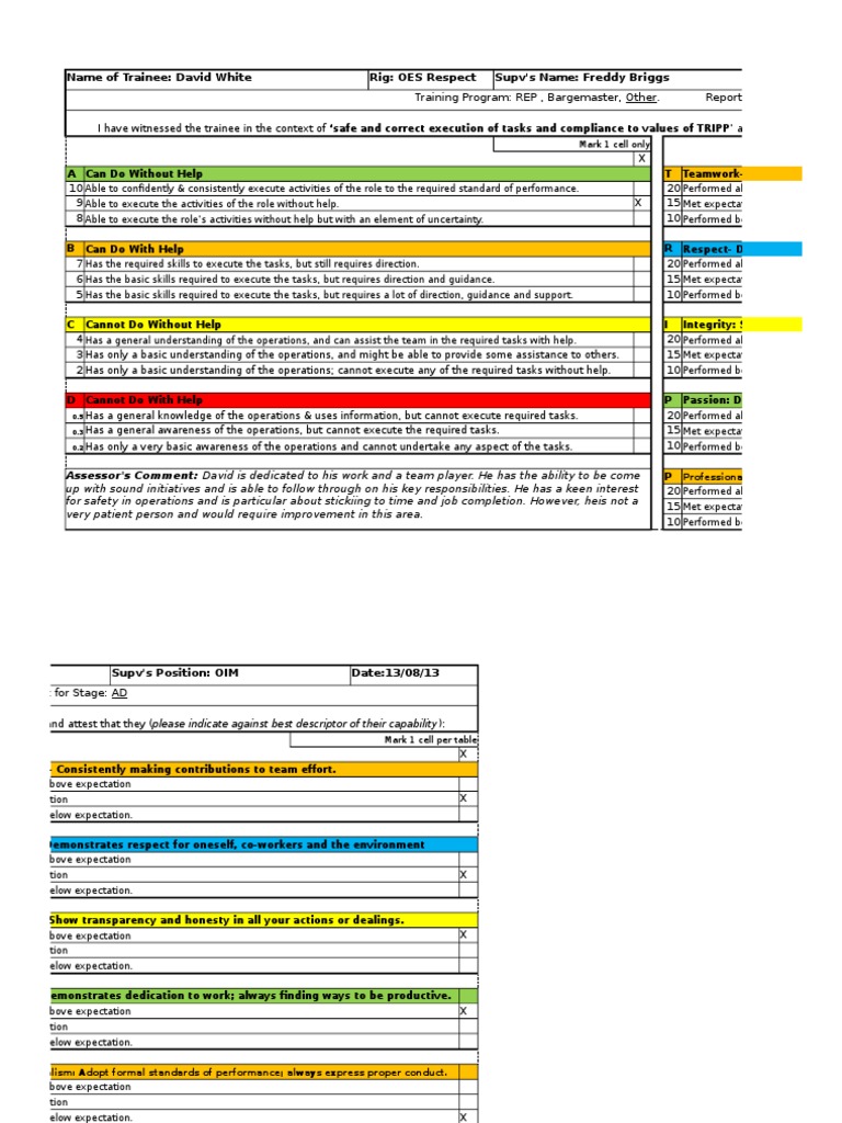 Performance Evaluation Sample | PDF | Cognitive Science | Cognition