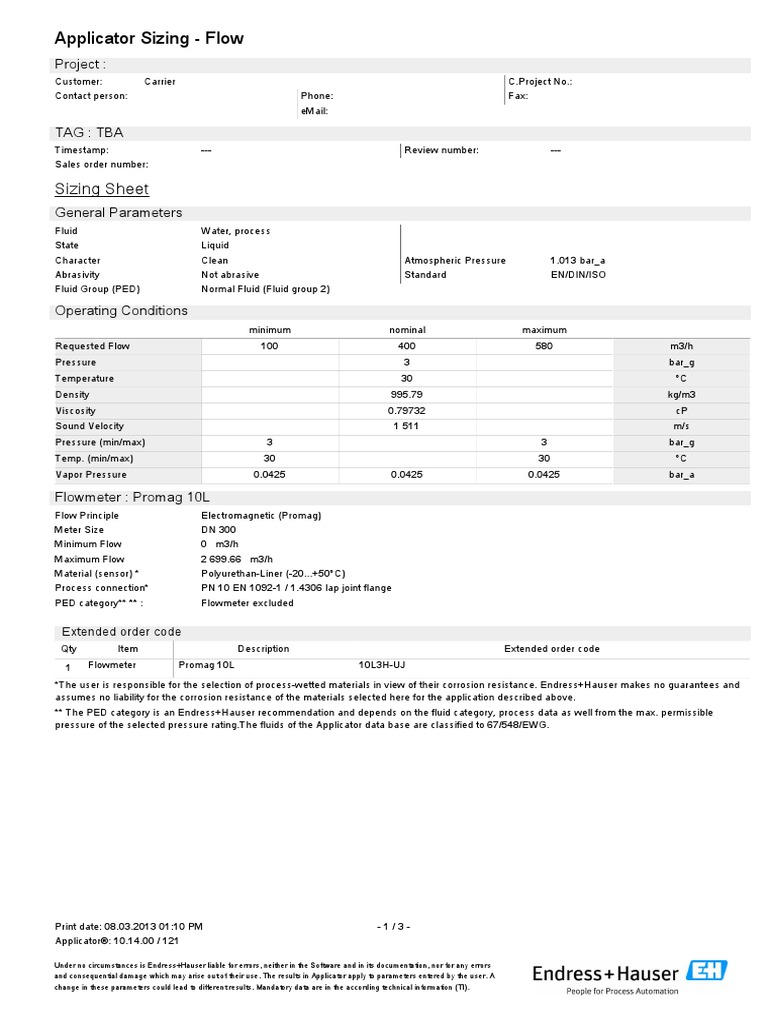 Sizing Flow Meter 300 | PDF | Flow Measurement | Fluid Dynamics