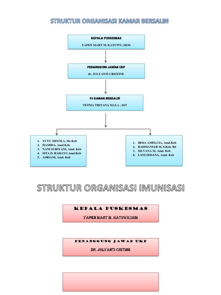 Struktur Organisasi Kamar Bersalin | PDF