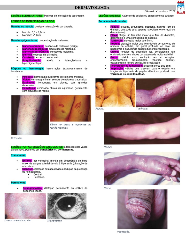 Lesões dermatológicas e abordagem do paciente | PDF | Pele ...