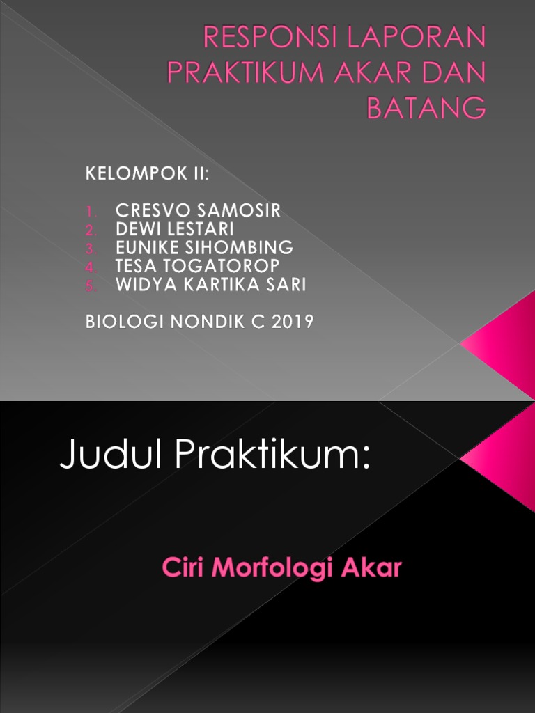 Responsi Laporan Praktikum Akar Dan Batang Kelompok 2 | PDF | Kesehatan Holistik