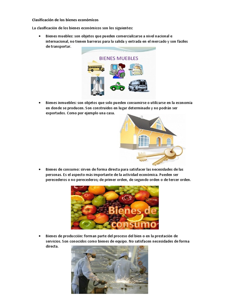 Clasificación de Los Bienes Económicos | PDF
