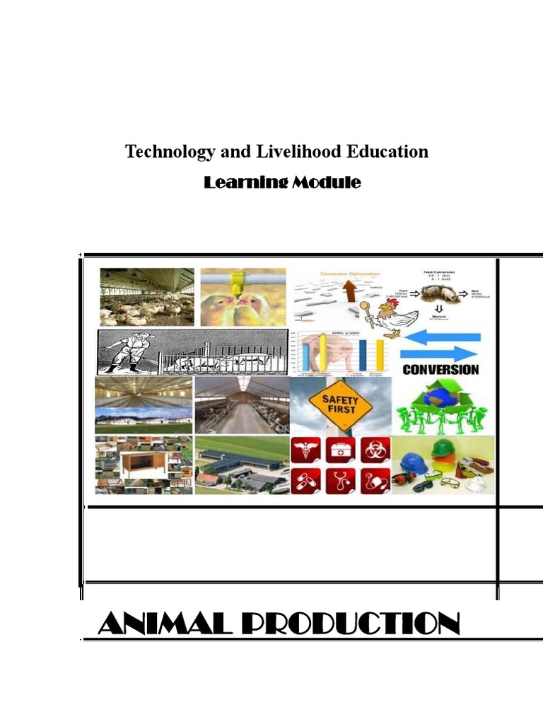 Animal Production Learning Module | PDF | Trailer (Vehicle) | Chicken