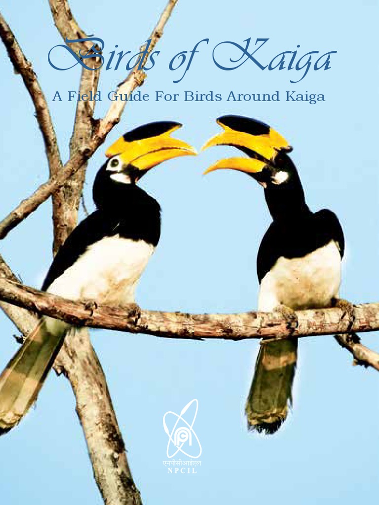 201712250515294735715birds of Kaiga | PDF | Birds | Holarctic Birds