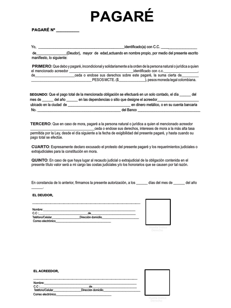 Pagaré Sin Codeudor | PDF | Pagos | Gobierno