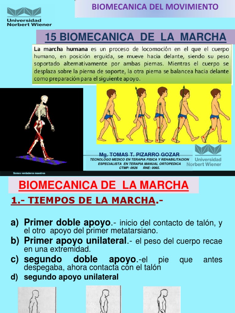 Biomecanica De La Marcha La Marcha Humana (cinesiología Dinamica,